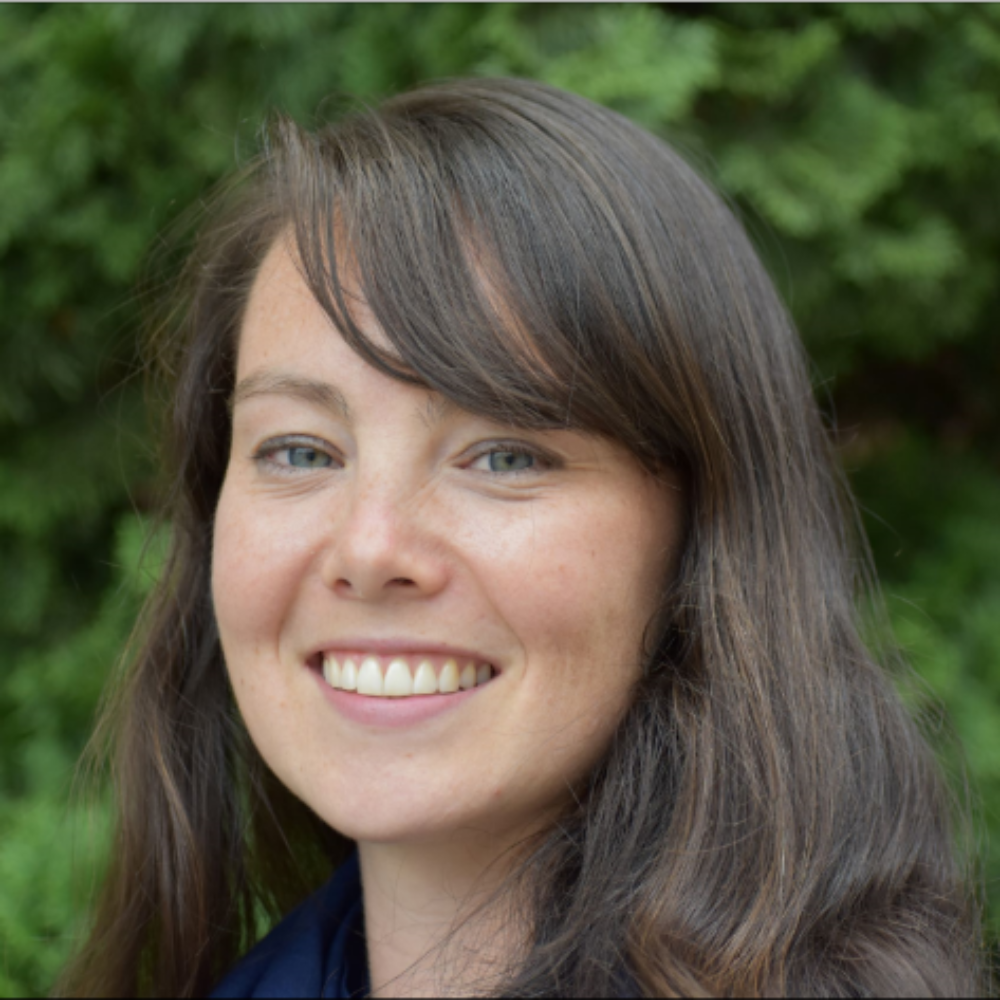 Career Beginnings: A Review of Our 2019 Internship Program, By Our ...